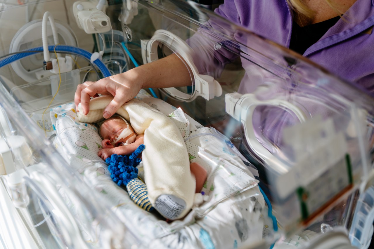 Addressing Pain During Neonatal PICC Placement - VascuFirst