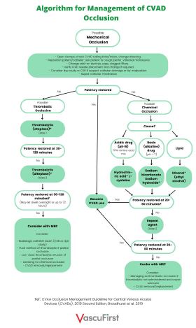 Infographics - VascuFirst